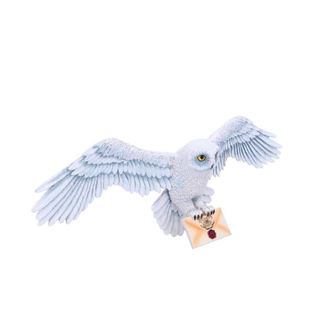 Harry Potter Hedwig Flying